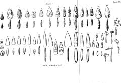Pitt Rivers and stone tool technology